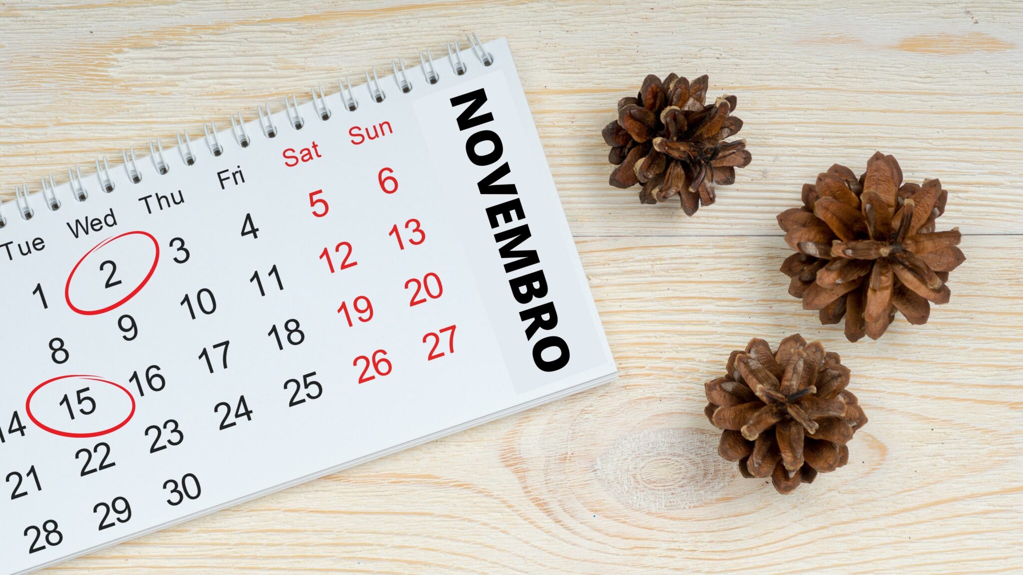 PREPARE-SE: novembro possui dois feriados nacionais – Sindilojas de ...